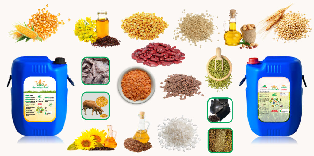 Organic Fertilizers